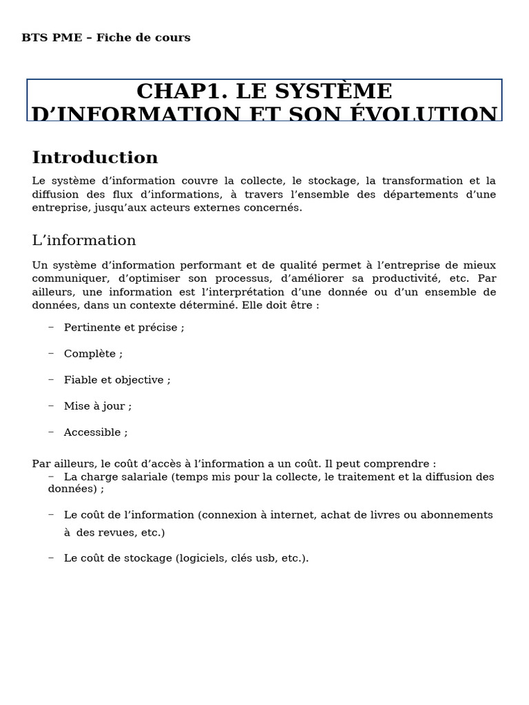 BTS-GPME-Le Système D - Information - Copie | PDF