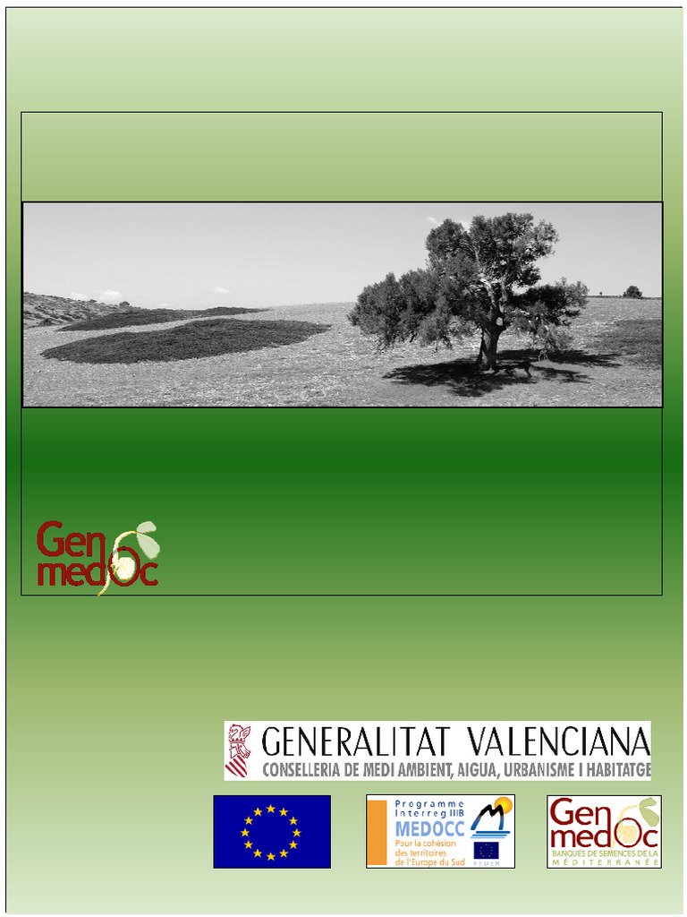 Base Estructural Habitat | PDF
