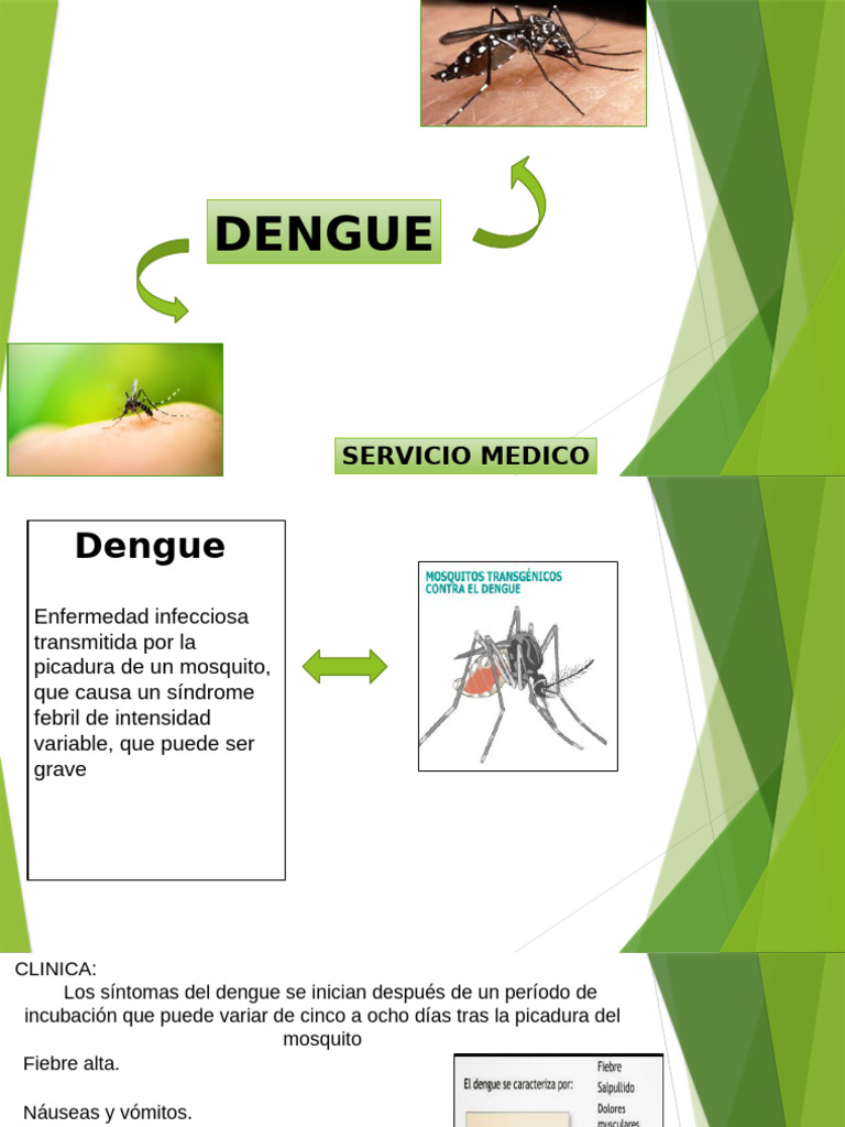 Diapositivas Dengue | PDF