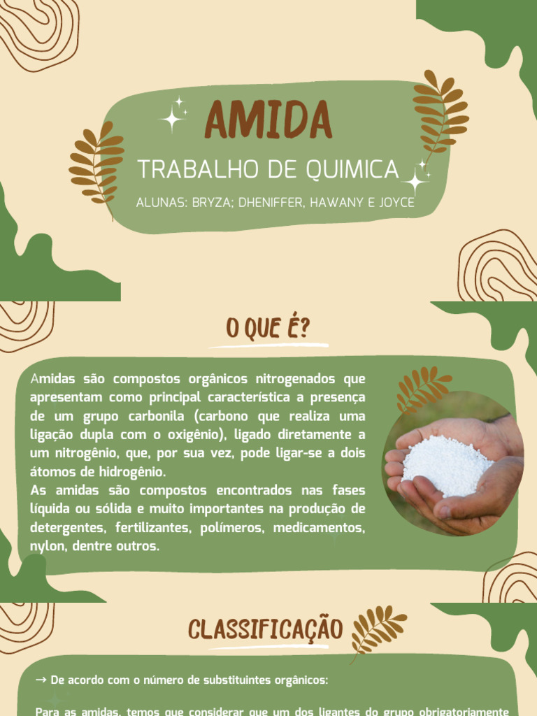 Trabalho Sobre Amida | PDF