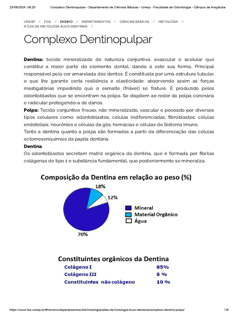 Complexo Dentinopulpar PDF | PDF