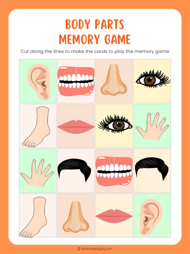 body-parts-memory-game | PDF