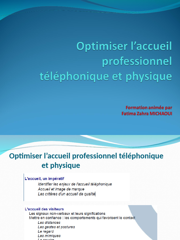 L Accueil Telephonique Et Physique | PDF
