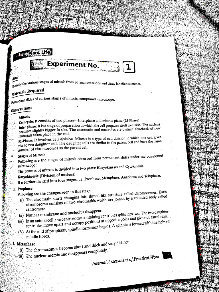 Grade 10 Biology Experiments | PDF