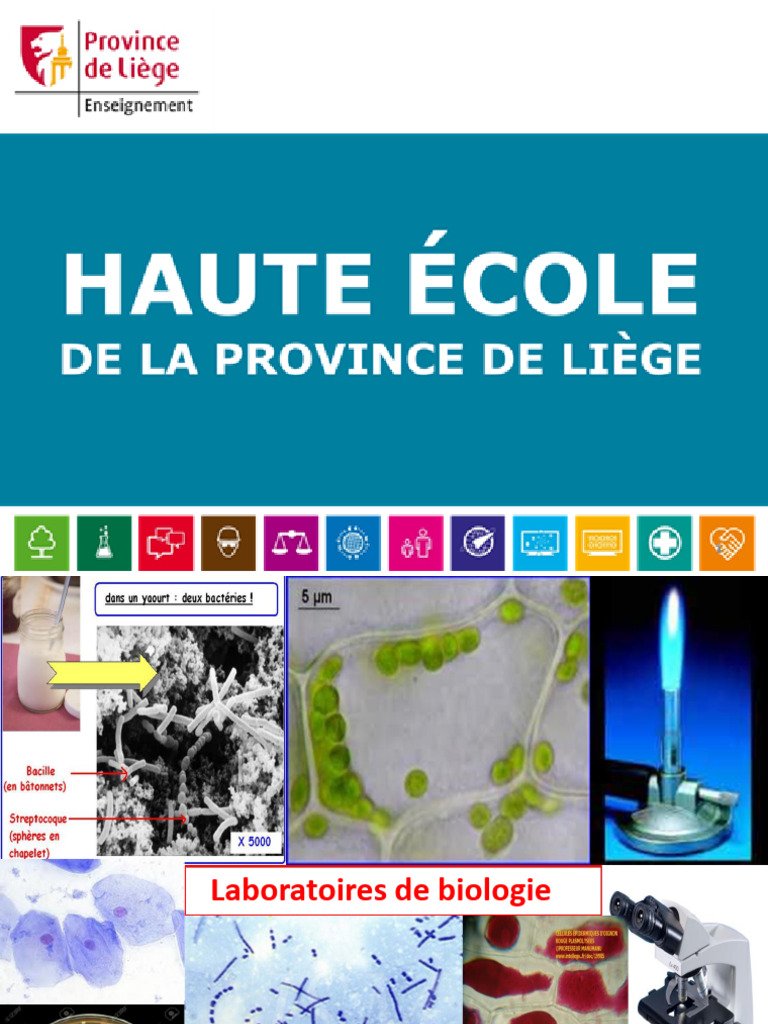 ppt 1 labo 1 biologie 1 TLM 1 | PDF