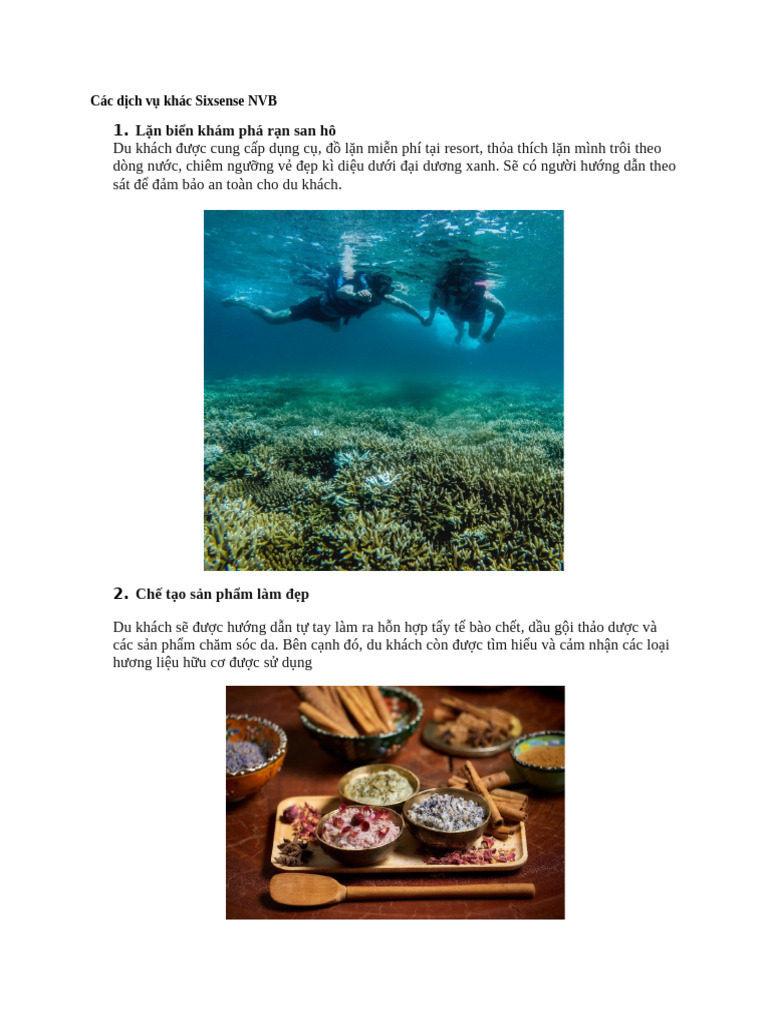 Các Dịch Vụ Khác Sixsense NVB | PDF