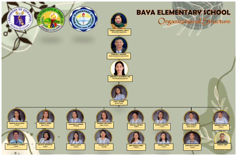 SDO Cam Sur Organizational Structure UPDATED | PDF