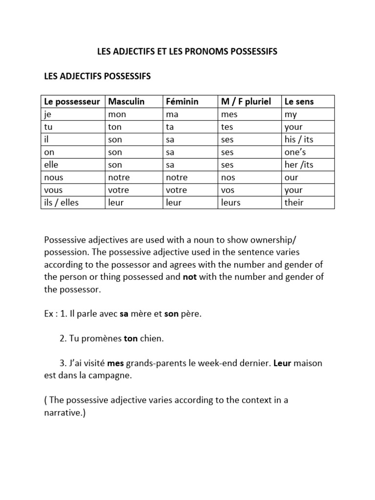 Class - X-French - Lesson 7 Les Adjectifs Et Les Pronoms Possessifs ...