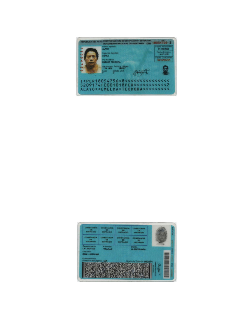 Documento (21) | PDF