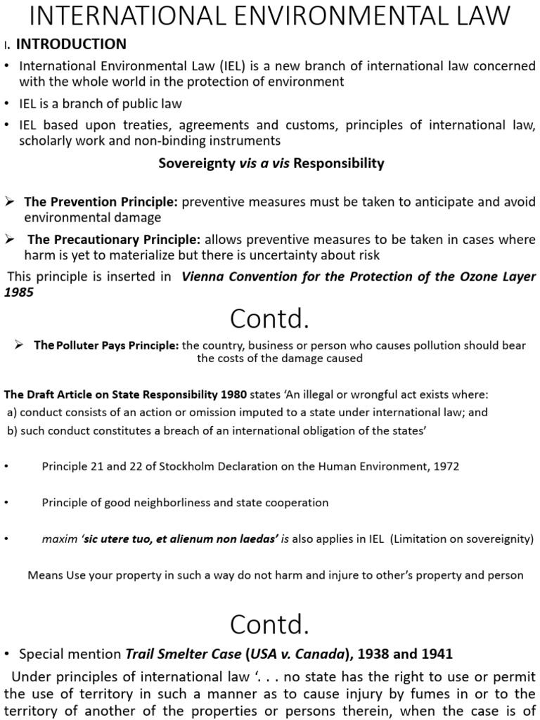 International Environmental Law PPT - I | PDF