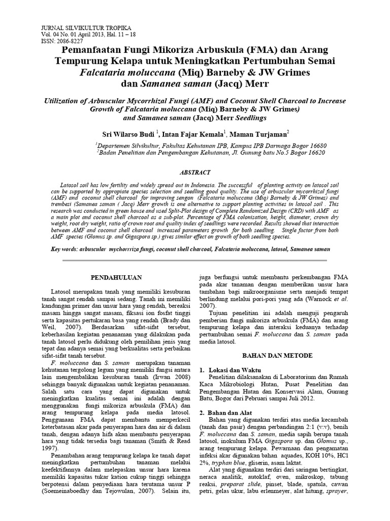 Tempurung Kelapa 2013 | PDF