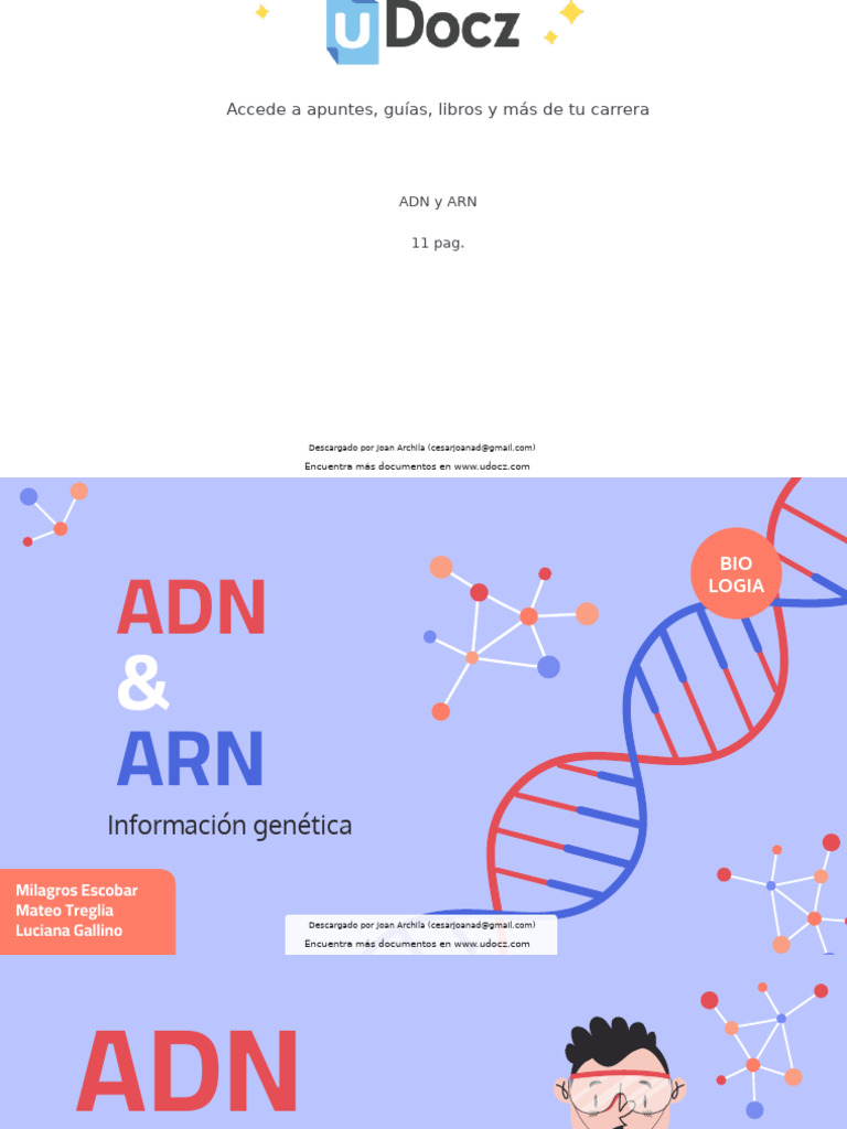 Adn y Arn 418555 Downloadable 4032184 | PDF