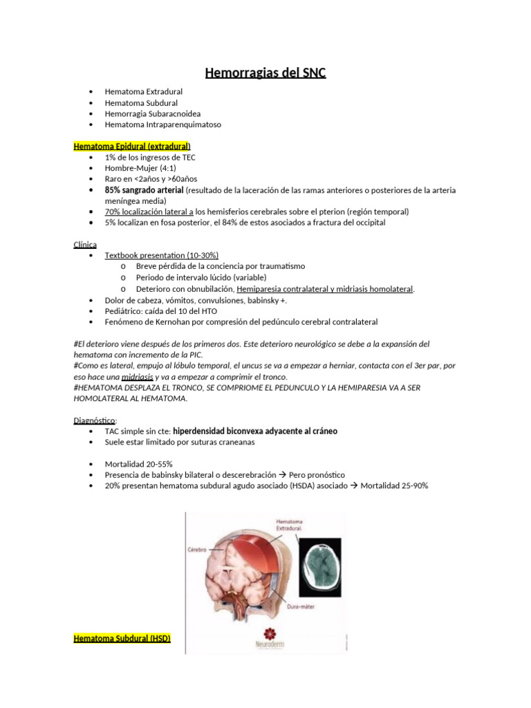 05.a. Hemorragias Del SNC | PDF