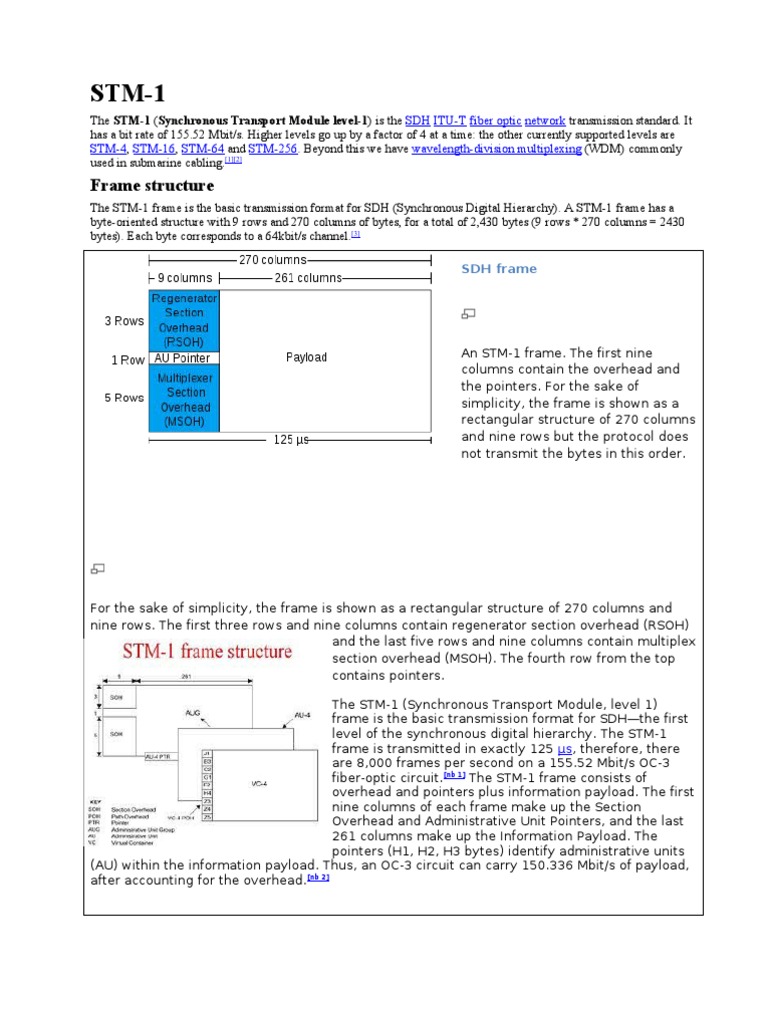 STM 1 Basics | PDF | Telecommunications Engineering | Computer Data