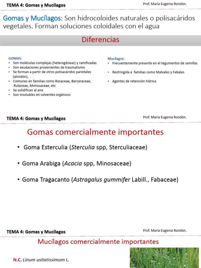 Tema 4 Gomas y Mucílagos | PDF