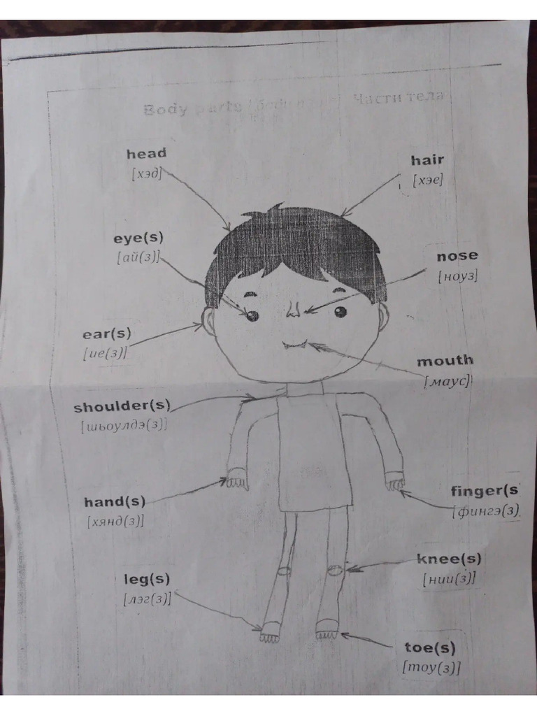 PDFReader 20240923 1944 | PDF