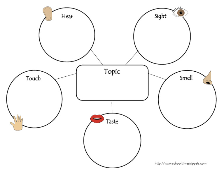 5 Senses Graphic Organizer | PDF