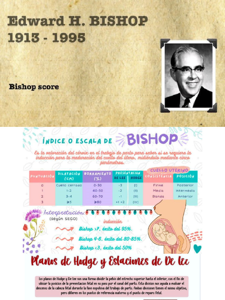 Bishop | PDF