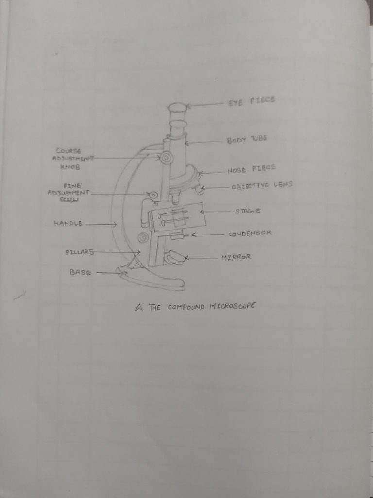 Study of Microscope | PDF