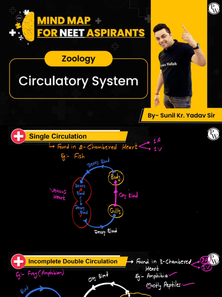 Circulatory System (One Shot) _ Class Notes __ NEET Mind Map | PDF