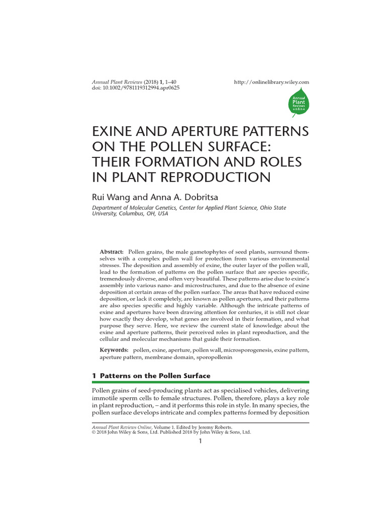 Pollen Surface Patterns: Exine & Apertures | PDF | Pollen | Home & Garden