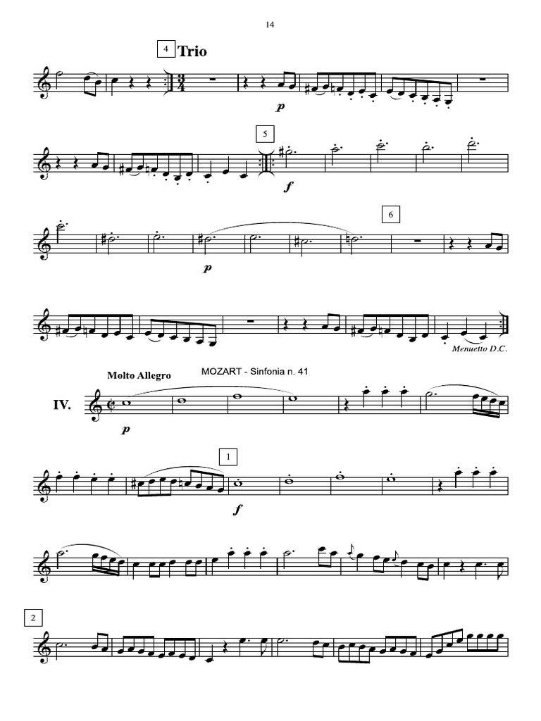 PASSI-VIOLINO-AUDIZIONI-2024 | PDF