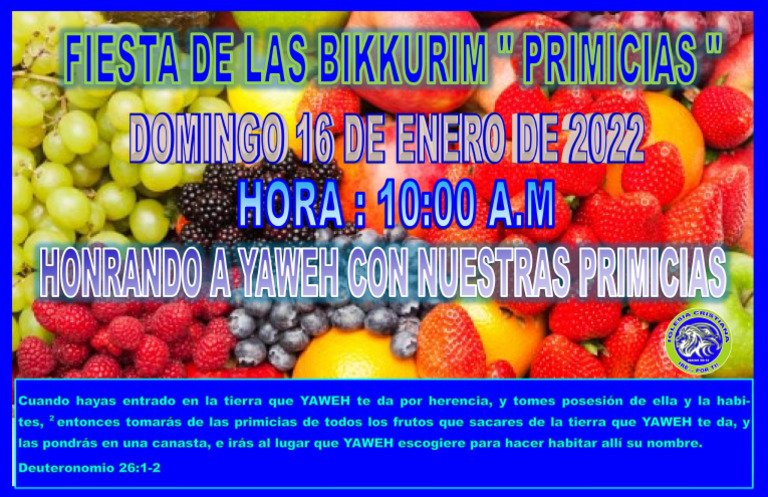 Bikkurim Primicias | PDF