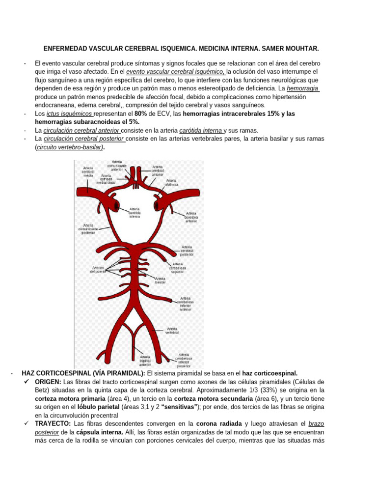 Enfermedad Vascular Cerebral Isquémica | PDF