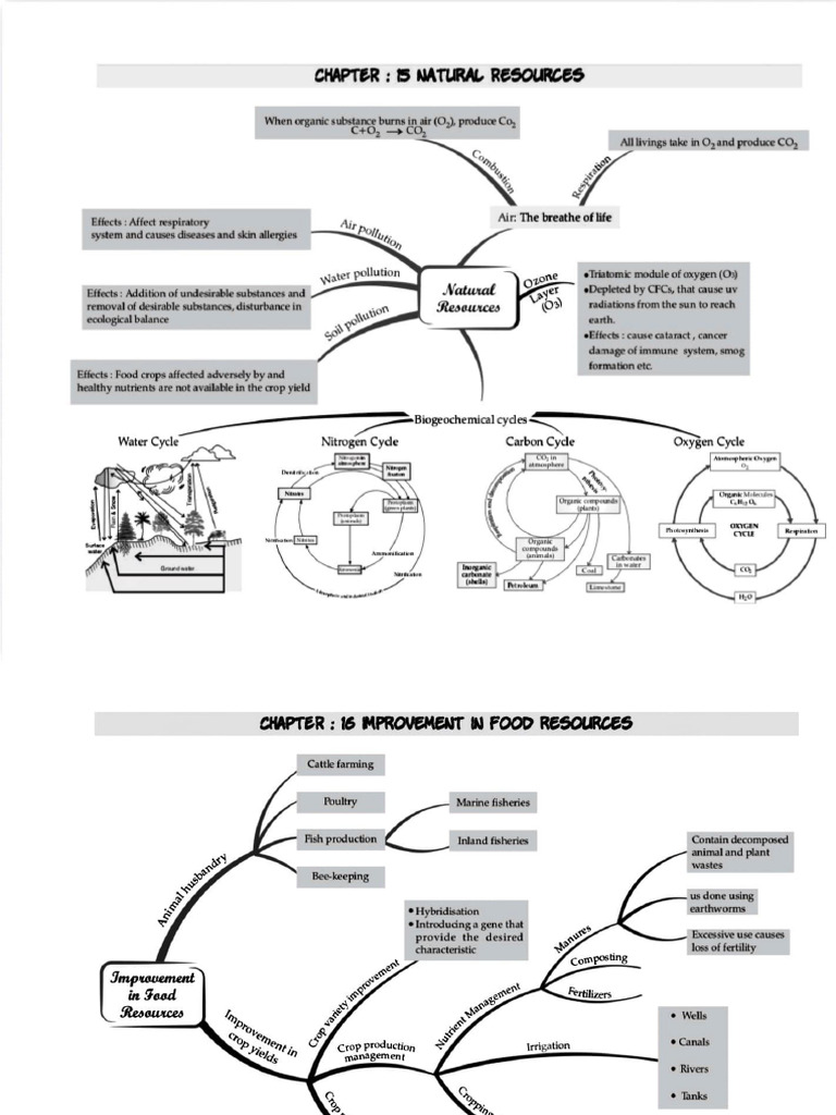 Chapter 15 & 16, Our Environment | PDF