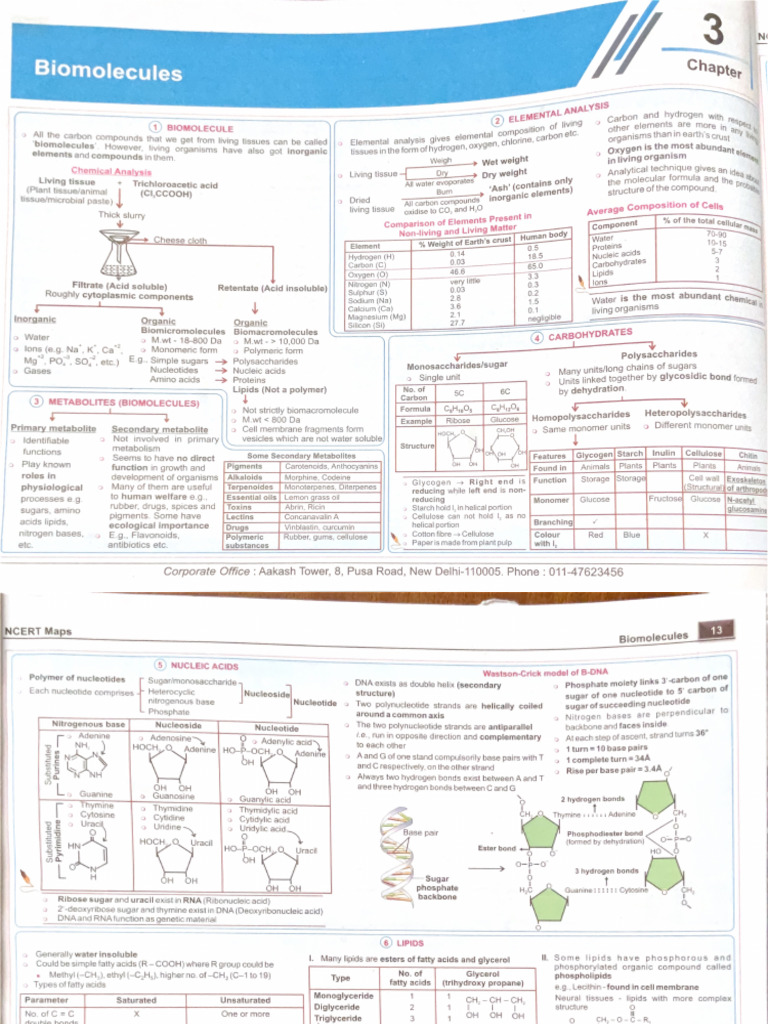 Biomolecules mind map | PDF