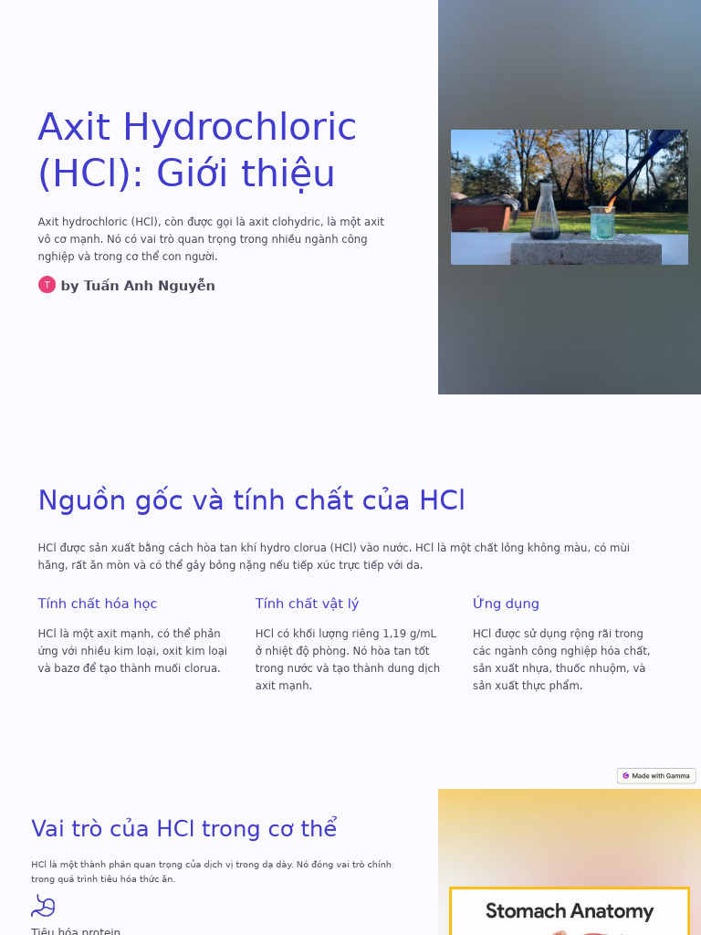 Axit Hydrochloric HCL Gioi Thieu | PDF