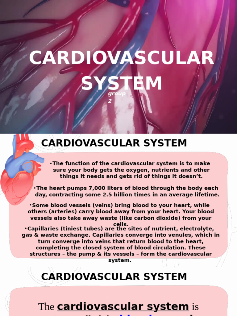 Cardiovascular System | PDF