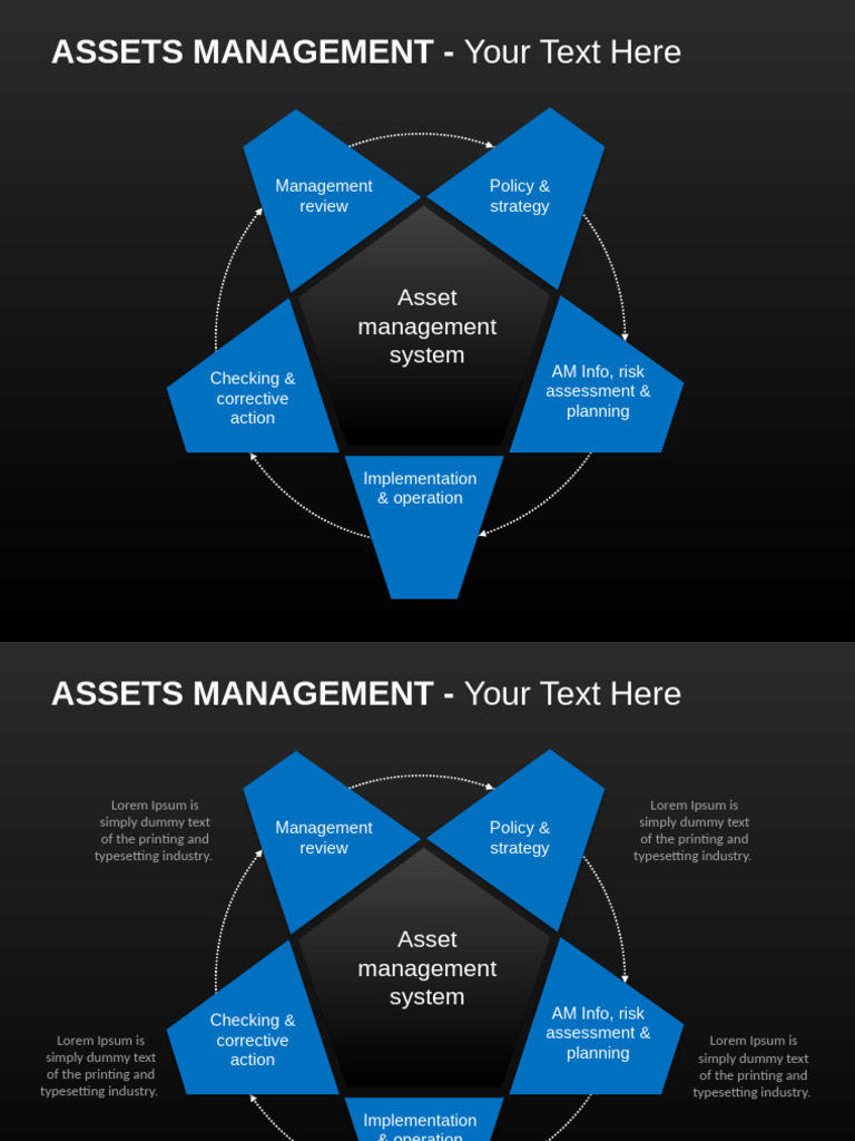 Asset Management Strategies Overview | PDF | Asset Management | Audit