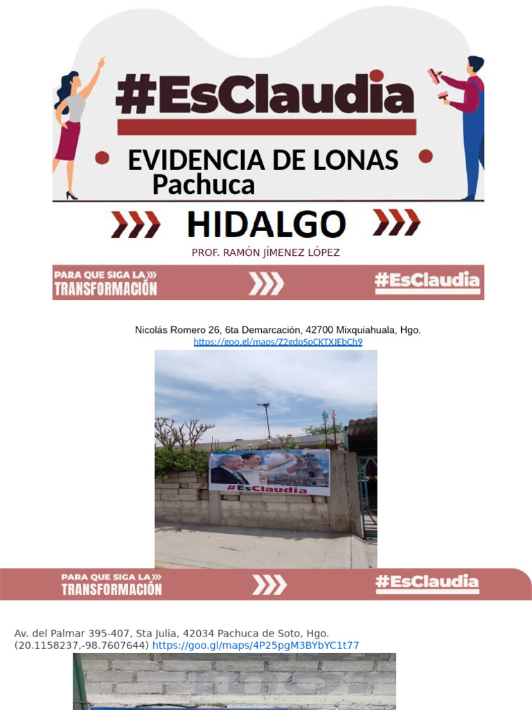 2 Lonas Claudia Pachuca - Lee - Marrón | PDF