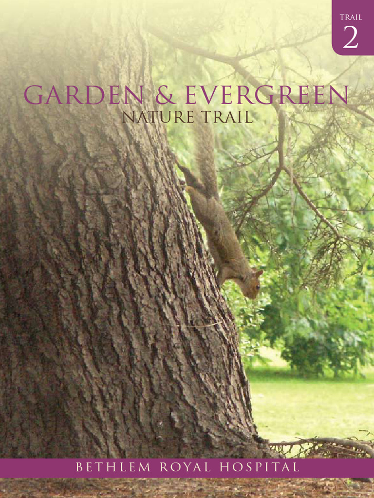 Garden and Evergreen Nature Trail | PDF