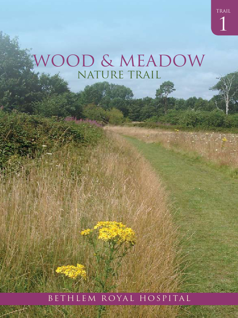 Wood-and-meadow-nature-trail | PDF