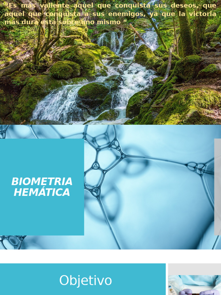 Biometria Hematica 2 Pdf