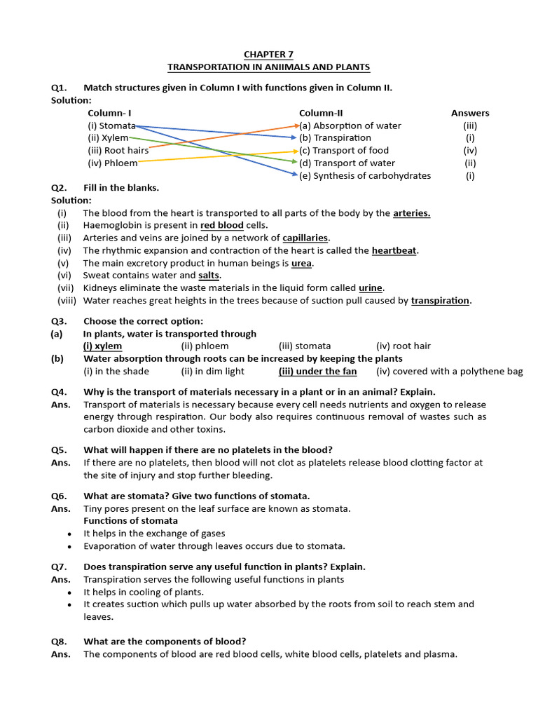 SCIENCE Chapter 7 Transportation in Animals and Plants | PDF