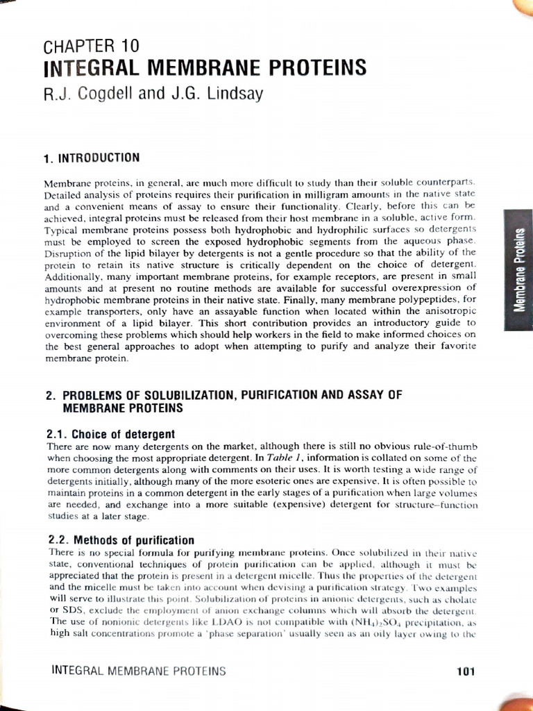 Chp10 Membrane Proteins | PDF