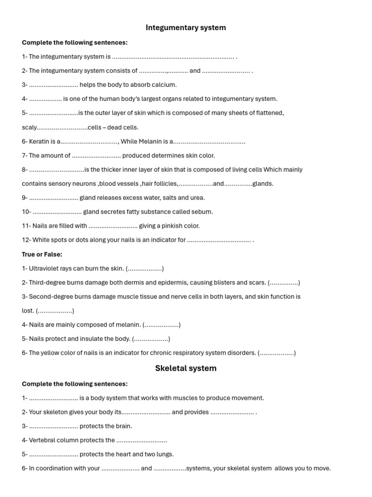 Integumentary System: Complete The Following Sentences | PDF