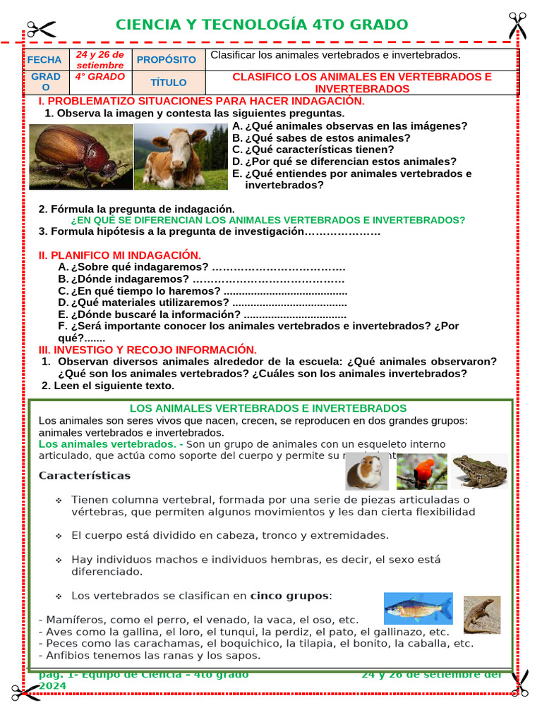 Iv-4g-Ciencia - Vertebrados e Invertebrados - Ficha. | PDF