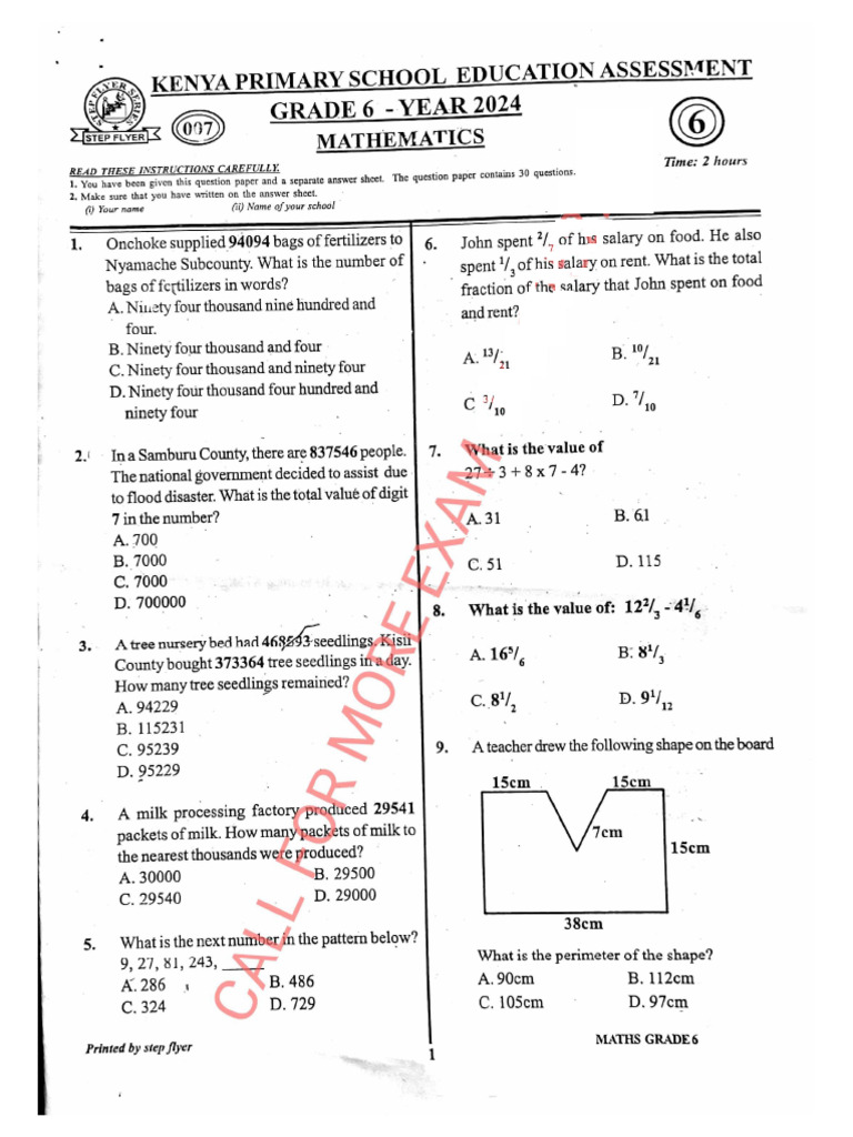 G6 Step Flyer 007 Maths | PDF