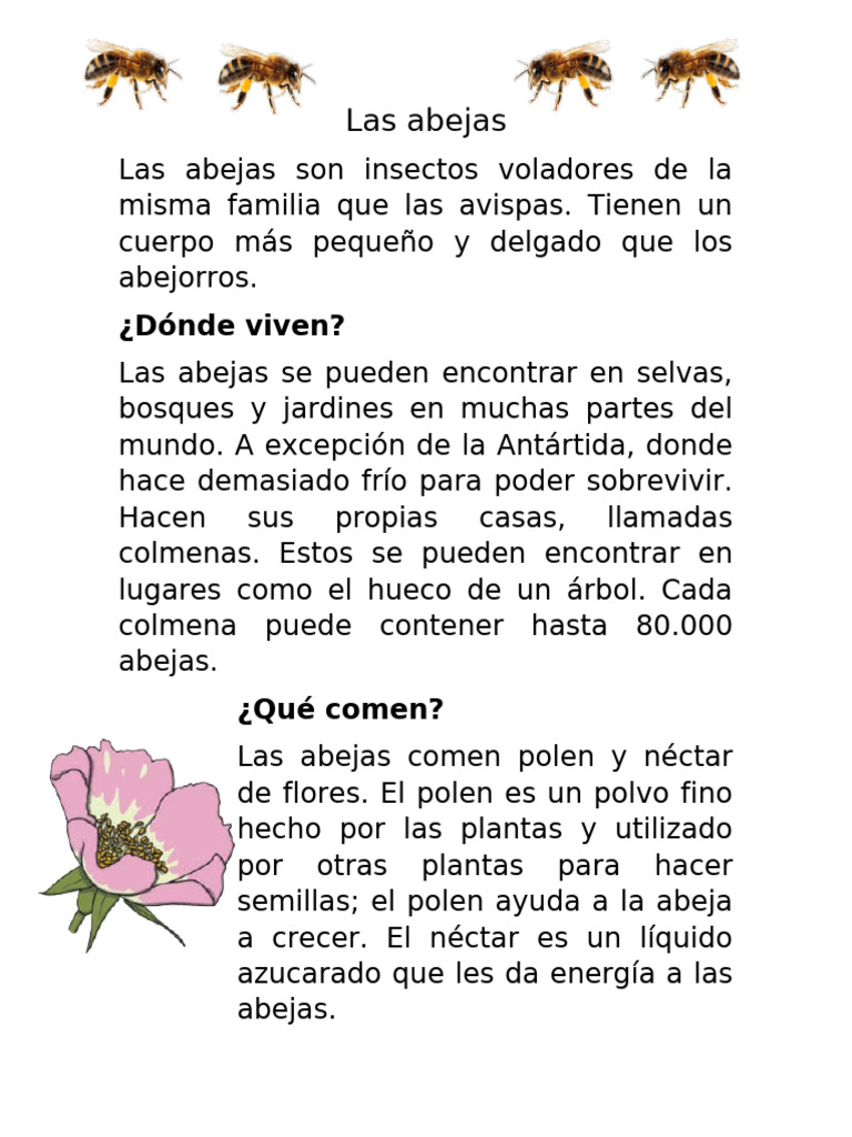 Información sobre las abejas para niños | PDF | Ciencia y matemáticas ...