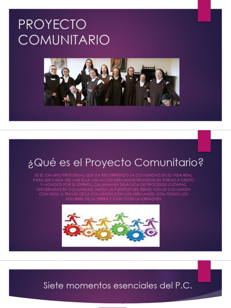 PROYECTO COMUNITARIO | PDF