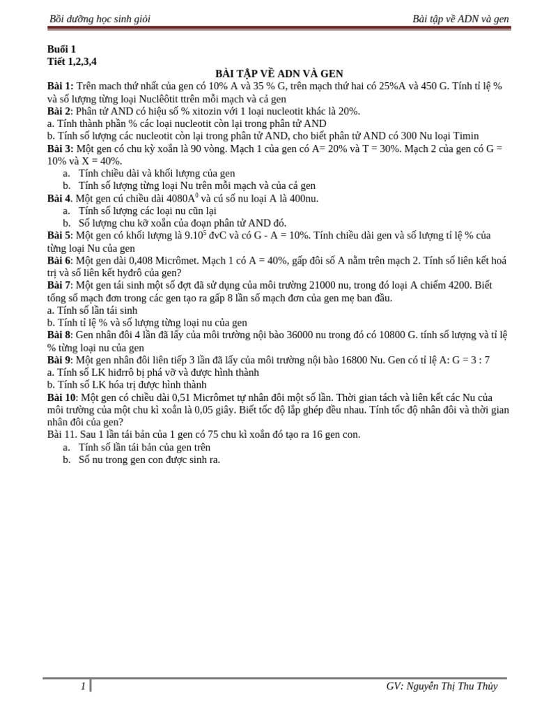 Bai Tap Chuong 3. ADN Va Gen | PDF