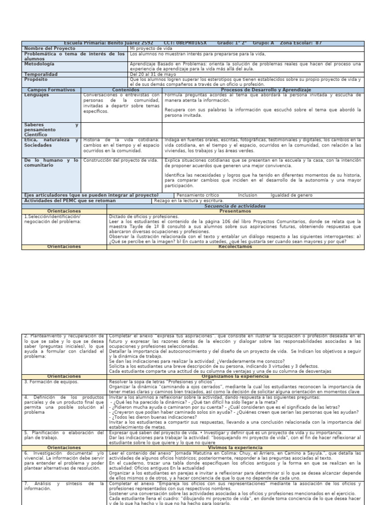 Formato Editable Planeacion Aprendizaje Basado en Problemas | PDF