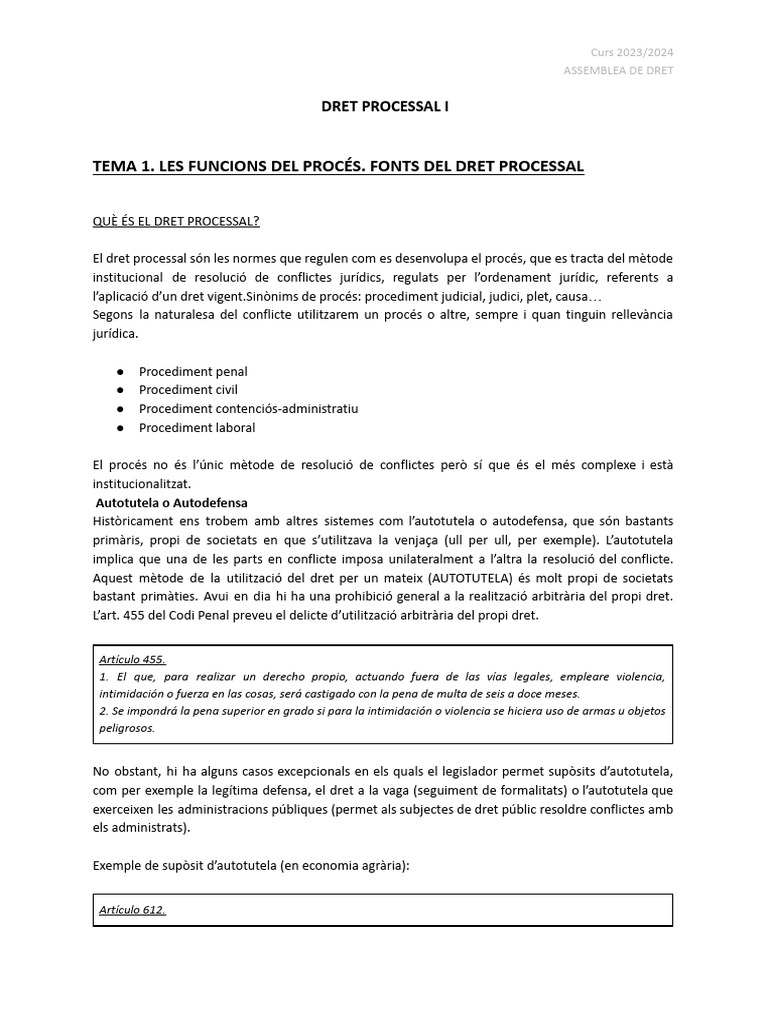 Apunts Processal I | PDF