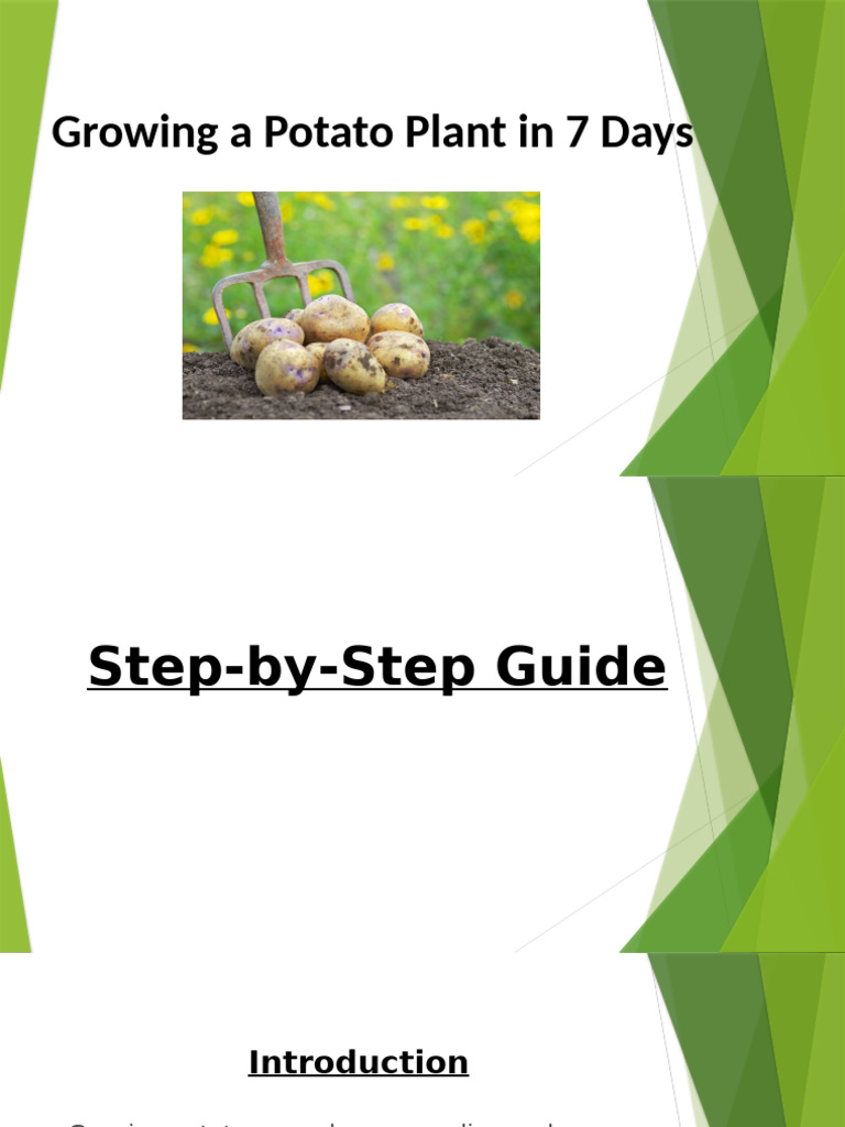 Grow Potatoes in 7 Days: A Guide | PDF | Potato | Soil