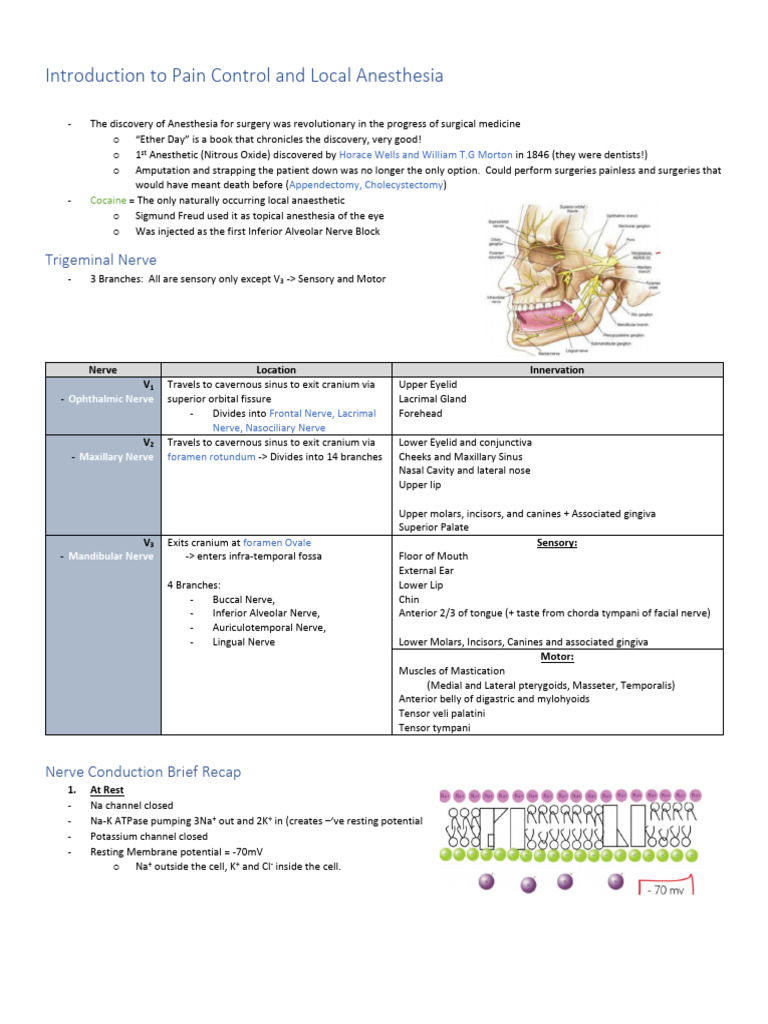 La Study Review | PDF
