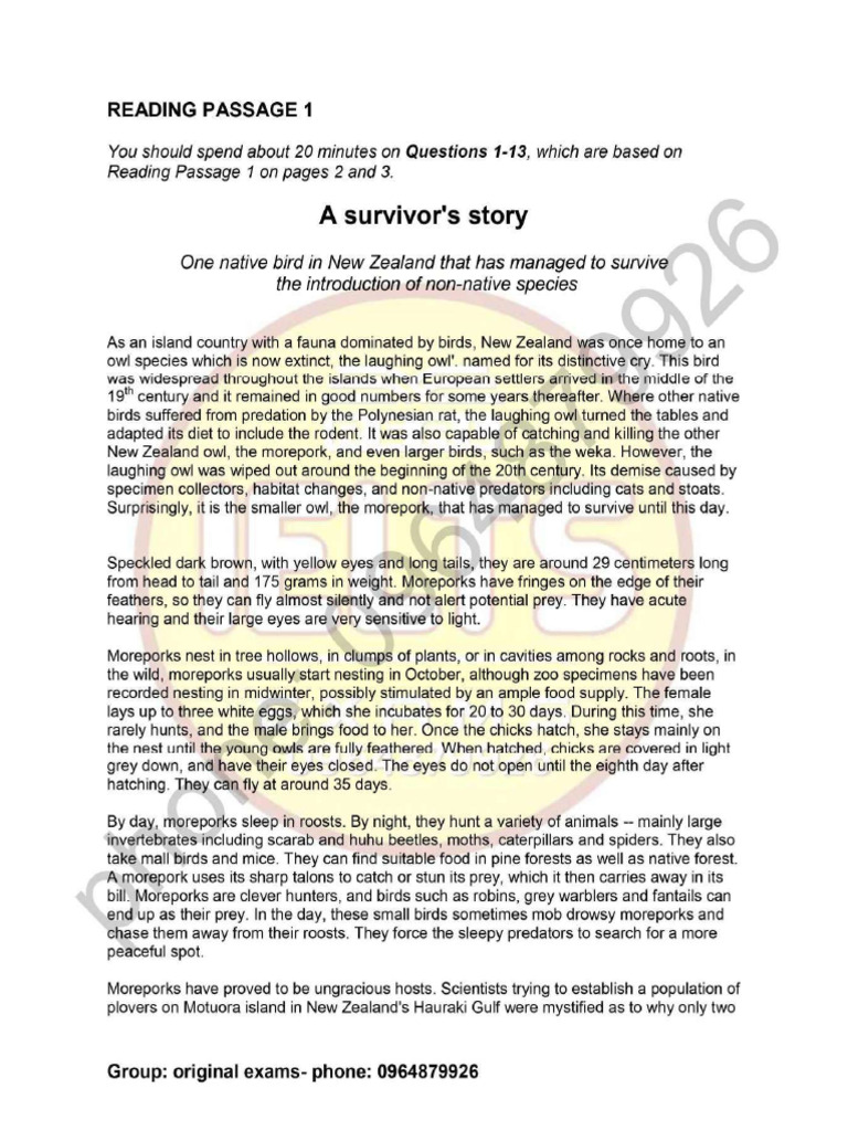A Survivors Story | PDF